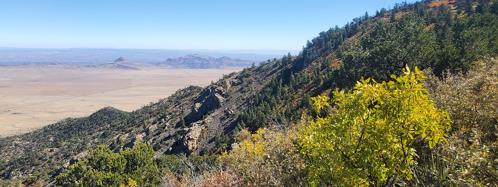 A la caza de pistas genéticas sobre la resistencia climática en las ...